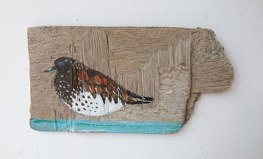 Mavis Turnstone Liz Toole