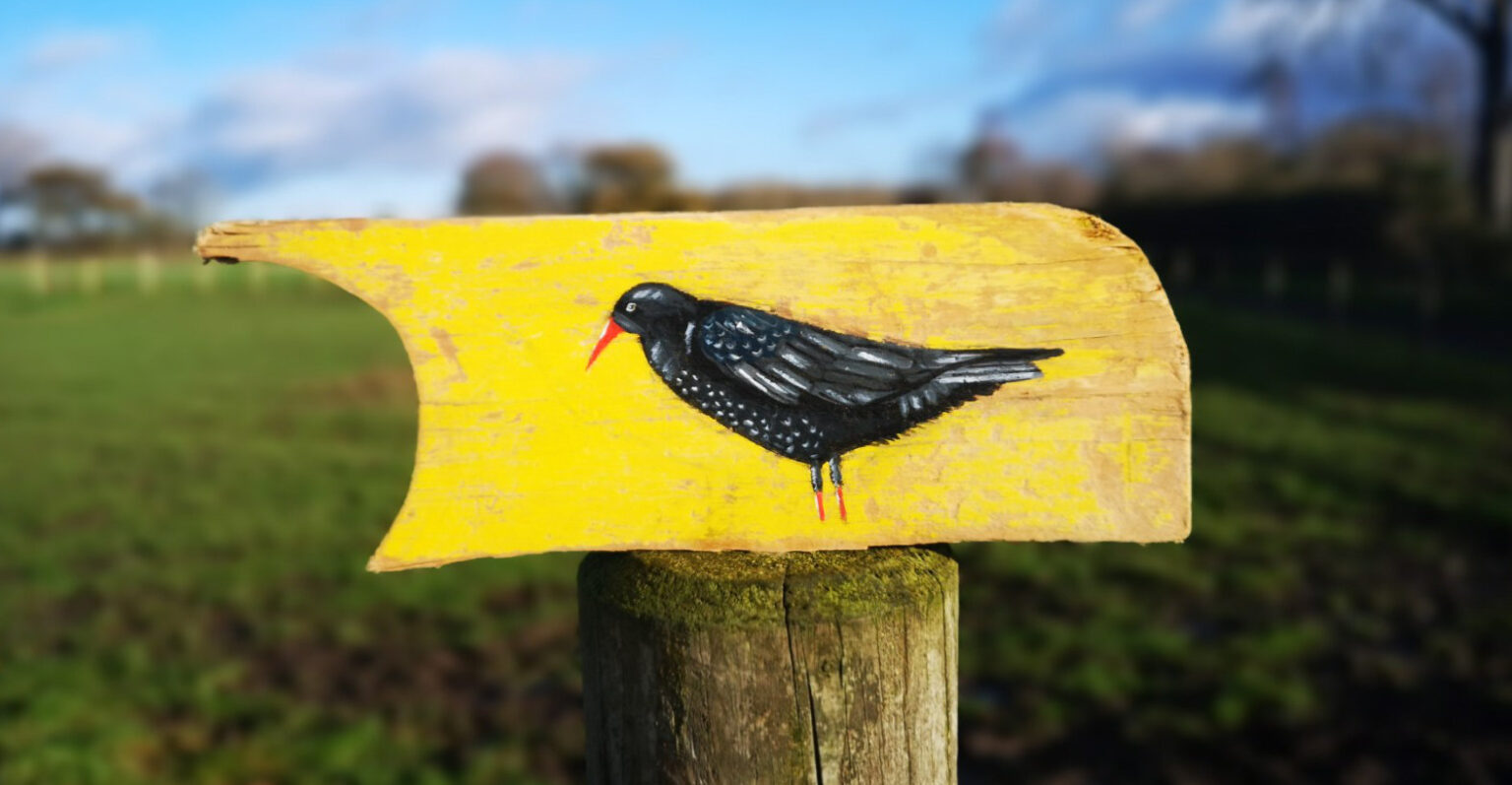 Liz Toole Printmaker Painter Based Brighton