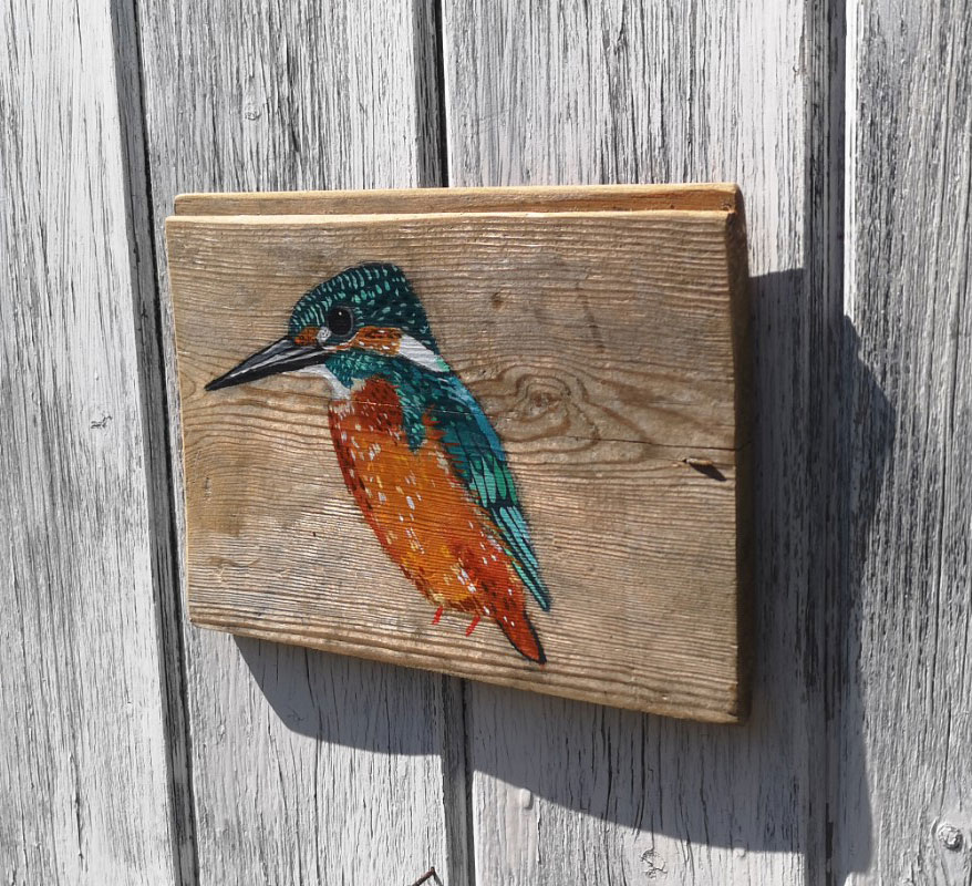 kingfisher-flynn-side | Liz Toole