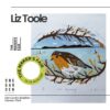 Liz Toole, printmaker & painter based in Anglesey