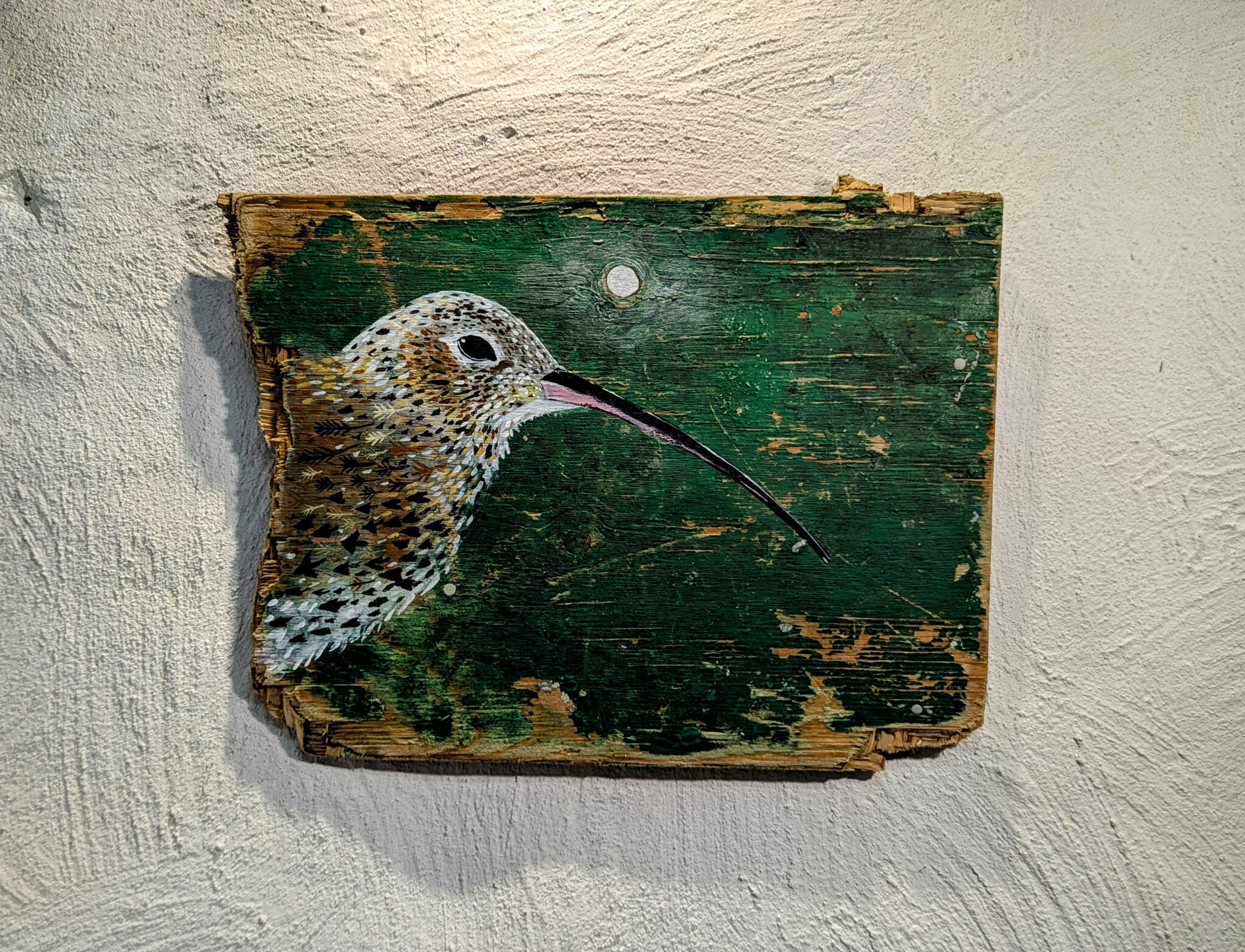 Liz Toole Printmaker Painter Based In Anglesey