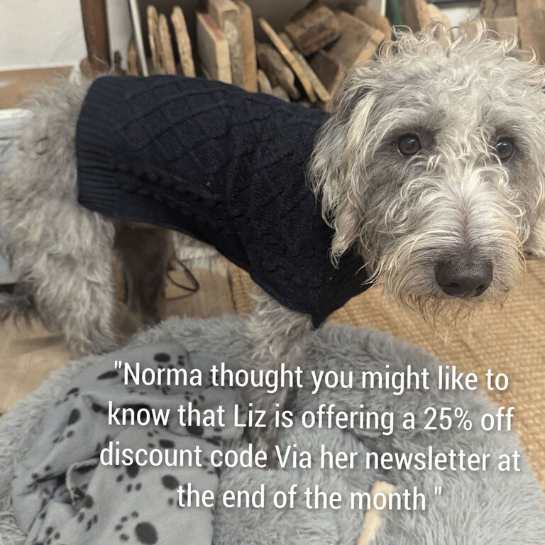 Liz Toole Printmaker Painter Based In Anglesey